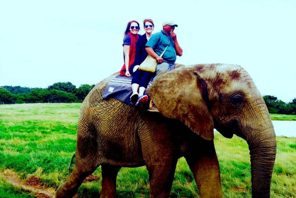 10 Thoughts I had While Riding an Elephant • LeadAbroad