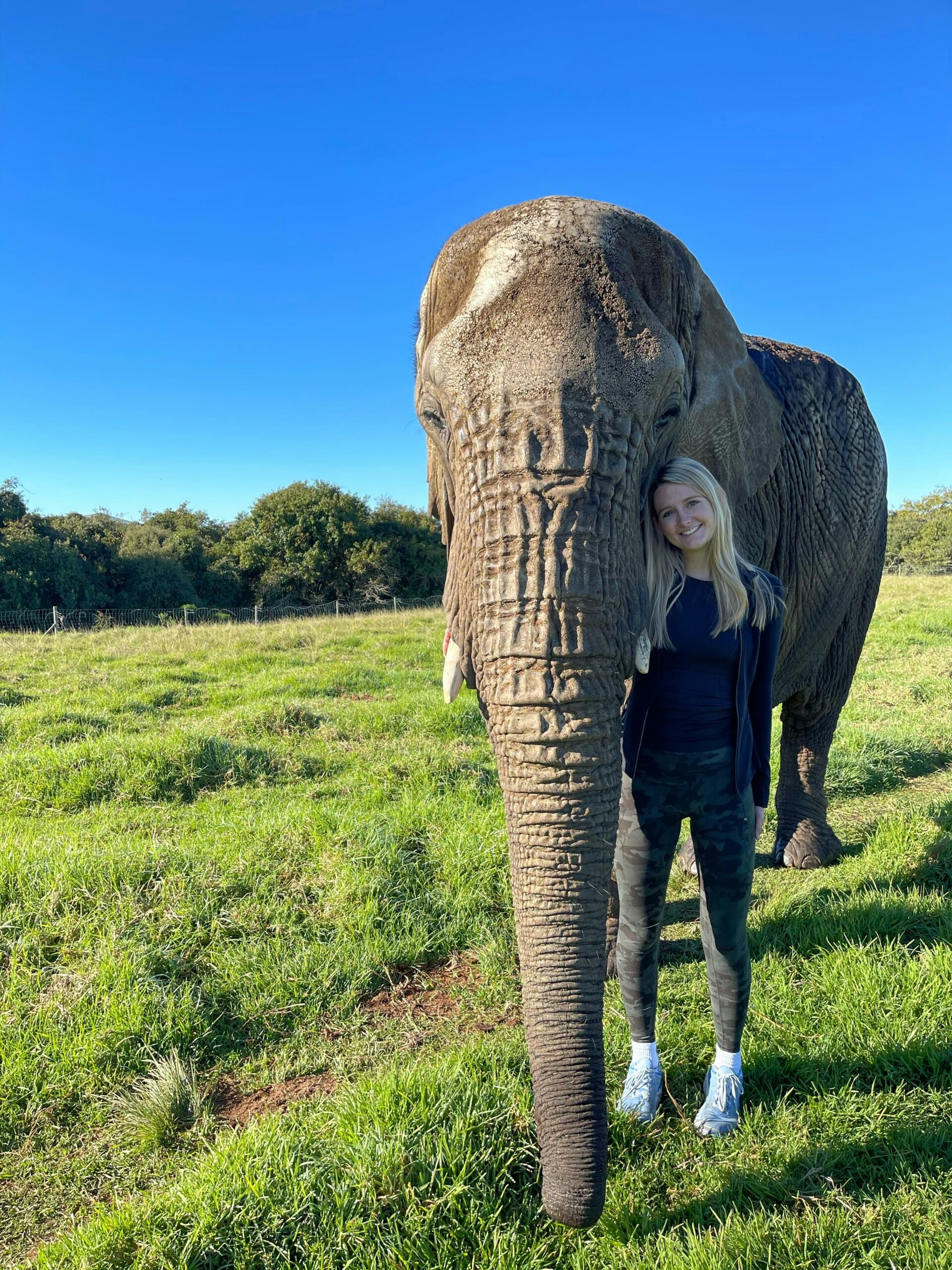 Crikey Bryan • LeadAbroad